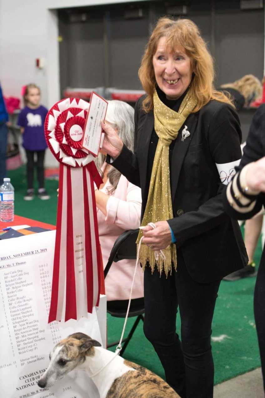 About us – Shetara Whippets